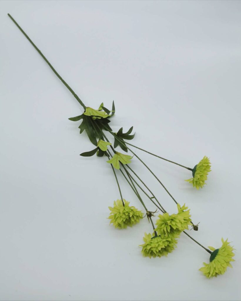 Single Stem Daisy Green(2 stems in a pack)(24 or more = £1 each STEM ...